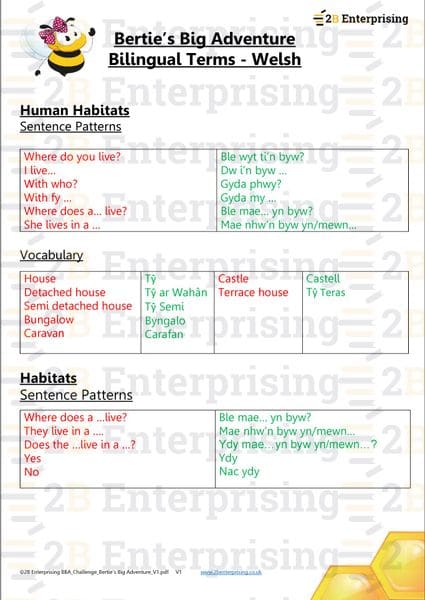 Bilingual - Bertie's Big Adventure bilingual terms - Welsh - 2B ...