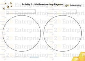 Minibeast sorting diagrams - 2B Enterprising