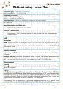 Minibeast sorting - 2B Enterprising